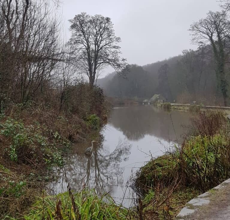 Sheffield Round Walk: a 15 mile loop in the city - Beyond the Edge